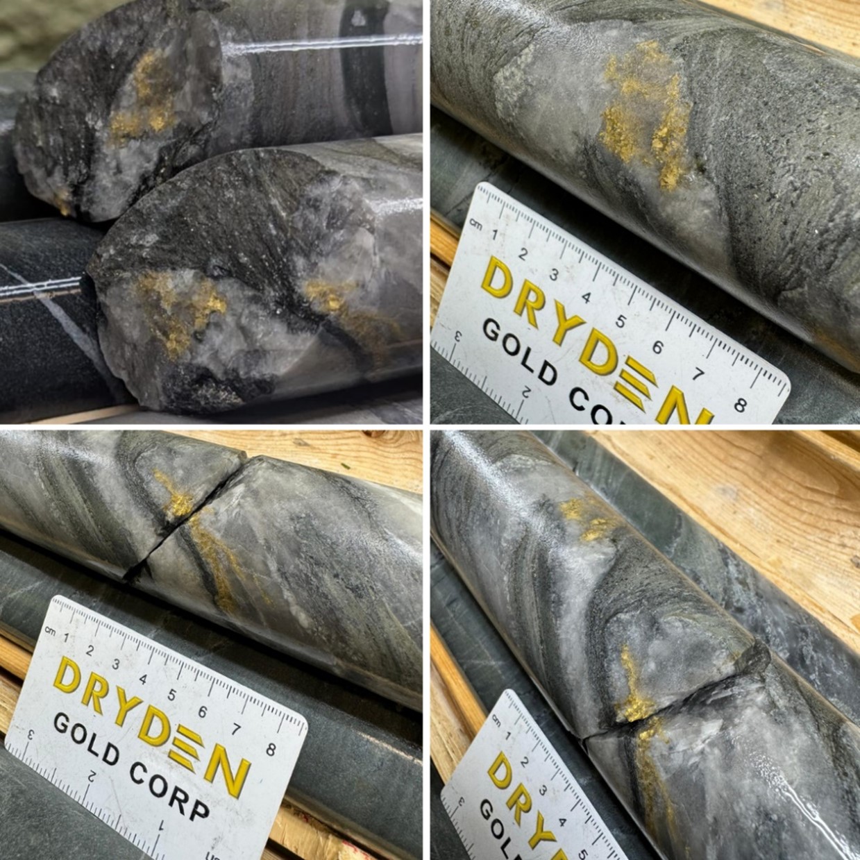 Dryden Gold Reports a New Discovery in Deep Drilling at Elora with ...